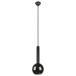 Trio LEUCHTEN Pendelleuchte "Clayton", schwarz (schwarz matt), 1, Ø 20cm H: 150cm, 1 Stk., Leuchten, Hängelampe höhenverstellbar bis 150cm, Glas rauchfarbig, exkl 1xE27