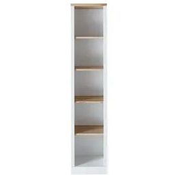 Aktenregal Innostyle, braun (pinie hell), B:43cm H:204cm T:38cm, ABS-Kunststoff, Dekorfolie, FSC-zertifizierter Holzwerkstoff, Hartfaserplatte, Kunststoff, Spanplatte, Regale