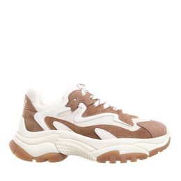 Ash Low-Top Sneaker - Addict06 - Gr. 39 (EU) - in Beige - f&uuml;r Damen