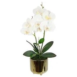 Kunstblume I.GE.A. "Orchidee", weiß, B:18cm H:42cm L:12cm, Polyester, Kunstpflanzen