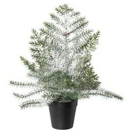 Künstlicher Weihnachtsbaum CREATIV DECO "Weihnachtsdeko, künstlicher Christbaum, Tannenbaum", grün, H:40cm, Kunststoff, Weihnachtsbäume, Kunstweihnachtsbäume, Im Topf; Beschneite Optik