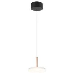 Trio LEUCHTEN LED Pendelleuchte "CELESTE dimmbare LED Hängelampe aus Metall und Glas, 10W 1100 Lumen", braun (coffee), 1, Ø 22cm H: 200cm, 1 Stk., Leuchten, einfach höhenverstellbar von 50-200 cm, Ø 22cm, 3-Stufen Dimmfunktion