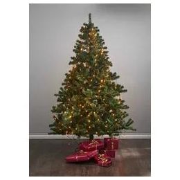 Eglo LED-Lichterkette "GOLDEN WARM WHITE - Weihnachtsdeko - Beleuchtung - Winterdeko", grün (grün, transparent), Flammen 360 Stk., Kabellänge 5m x Gesamtlänge 7m, Lichterketten, Beleuchtung für innen und außen, extra-warmweiß, Lichternetz, 2 m