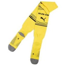 Fußballstutzen Puma "BVB GRAPHIC SOCKS REPLICA", Damen, Gr. 35-38, faster gelb, Puma schwarz, Obermaterial: 68% Polyester, 18% Baumwolle, 12% Polyamid, 2% Elasthan, gemustert, Socken