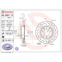 Brembo Bremsscheibe vorne rechts links Gelocht/innenbel. 266mm für PEUGEOT 1642761280 1610704680 09.C657.1X