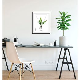 queence Bild »Pteridophyta« Pflanzen Pflanzenbilder Schriftzug 1 Stk. tlg. HD Premium Poster-Druck inkl. Holzrahmen Farbe Rahmen: schwarz +...