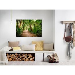 A.S. Création A.S. CRÉATION Leinwandbild »Palm Walk« Gemälde Kunst 1 Stk. tlg. Palmen Wald Keilrahmen Natur Leinwand-Bild Wohnzimmer modern Wandbild Farbe...