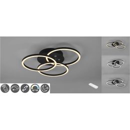 REALITY LEUCHTEN LED Deckenleuchte »Circle« LED-Board 1 Stk. warmweiß - kaltweiß Deckenlampe schwarz matt mit schwenkbaren Ringen / inkl....