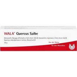 WALA Quercus Salbe 30 g