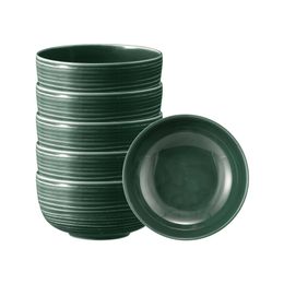 Seltmann Weiden Foodbowl Terra &oslash; 17,7 cm 6er Set