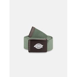 Dickies Belt 'Orcutt' male Green size One Size