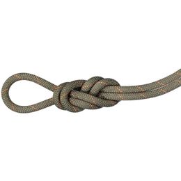 Mammut 9.9 Gym Workhorse Classic Rope - Einfachseil