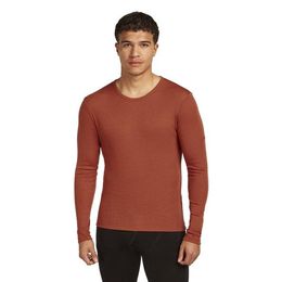 Icebreaker Merino 175 Everyday Crewe - Funktionsshirt - Herren