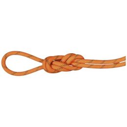 Mammut 8.0 Alpine Dry Rope 60m - Zwillings/Halbseil