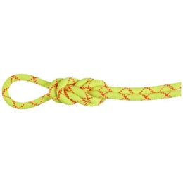 Mammut 9.5 Alpine Core Protect Dry Rope - Einfachseil