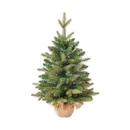 Tchibo - LED-Weihnachtsbaum mit Übertopf »Aspen« - 16x16x54cm - beige - Polyvinylchlorid / Polyethylen / Metall