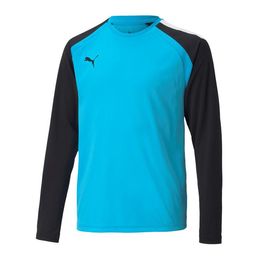 Puma teamPACER Torwarttrikot langarm Kids (040), Größe 164, Kinder, Kinder - 11teamsports