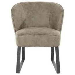Sessel exxpo - SOFA FASHION "Americano, Loungesessel", braun (cognac), B:66cm H:80cm T:69cm, Sessel, Esszimmersessel, mit Keder und Metallfüßen, Bezug in verschiedenen Qualitäten, 1 Stck.