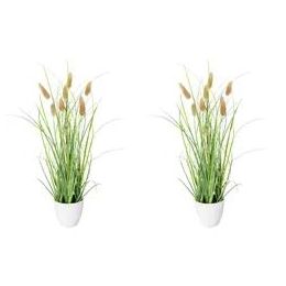 Kunstgras Creativ green "Grasbusch Lagurus", grün, H:40cm Ø:12cm, Kunststoff, Kunstpflanzen
