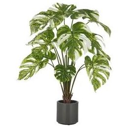 Kunstpflanze Creativ green "Splitphilodendron", grün (grün, weiß), H:100cm, Kunststoff, Kunstpflanzen, mit naturgetreuem Blattwerk