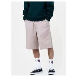 Shorts Santa Cruz "DILLON SHORTS", Herren, Gr. 28, N-Gr, grau (chalk), Obermaterial: 100% Baumwolle, Hosen