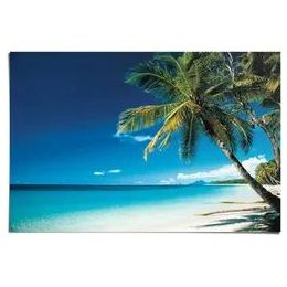 Poster Reinders "Palme am Strand", blau (farbe bild(er): blau), B:91,5cm H:61cm, Papier, Bilder
