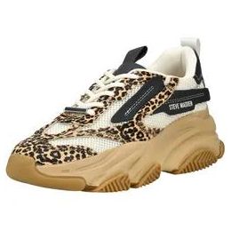 Sneaker Steve Madden "Steve Madden Sneaker Leder/Textil", Damen, Gr. 39, leopard, Leder, Textil, Schuhe