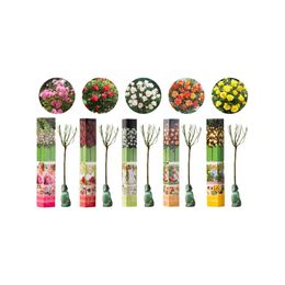 GARDENZO 5er-Set: Mini-Stamm Rosen in Bunt | Gr.: onesize