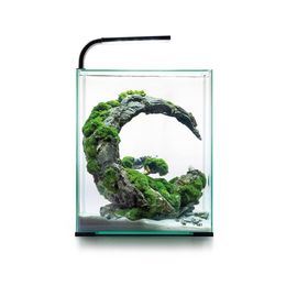 Aquael Shrimp Set Tag & Nacht schwarz 30 Liter, 29 x 29 x 35 cm