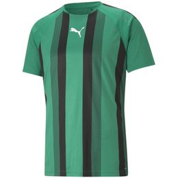 Puma Sportshirt "TeamLIGA Striped Jersey" in Grün | Gr.: XL