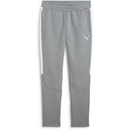 Puma Sporthose "TeamEVOSTRIPE Pants" in Grau | Gr.: L