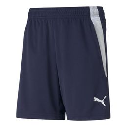 Puma Sporthose "TeamLIGA Training Shorts Jr" in Blau | Gr.: 152