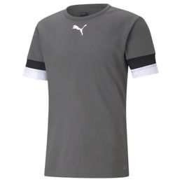 Puma Sportshirt "TeamRISE Jersey" in Grau | Gr.: L
