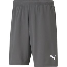 Puma Sporthose "TeamRISE Short" in Grau | Gr.: XL