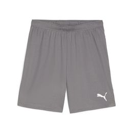 Puma Sporthose "TeamGoal Shorts" in Grau | Gr.: XL