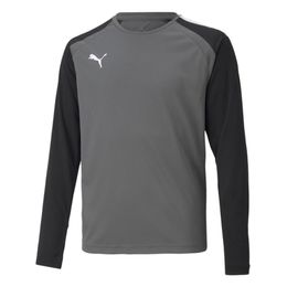 Puma Sportshirt "TeamPACER GK Longsleeve Jersey Jr" in Grau | Gr.: 140