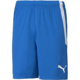 Puma Sporthose "TeamLIGA Shorts" in Blau | Gr.: XL