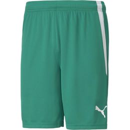 Puma Sporthose "TeamLIGA Shorts" in Grün | Gr.: XL