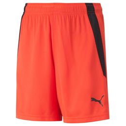 Puma Sporthose "TeamLIGA Shorts Jr" in Rot | Gr.: 116