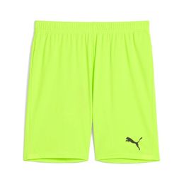 Puma Sporthose "TeamGoal Shorts" in Gr&uuml;n | Gr.: M