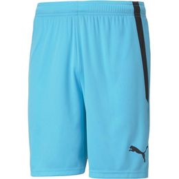 Puma Sporthose "TeamLIGA Shorts" in Blau | Gr.: 3XL