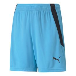 Puma Sporthose "TeamLIGA Shorts Jr" in Blau | Gr.: 152