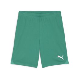 Puma Sporthose "TeamGoal Shorts" in Gr&uuml;n | Gr.: S