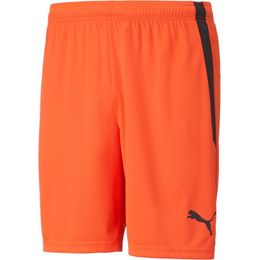 Puma Sporthose "TeamLIGA Shorts" in Rot | Gr.: S
