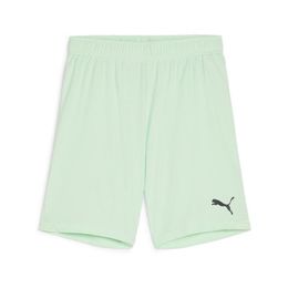 Puma Sporthose "TeamGoal Shorts Jr" in Grün | Gr.: 152