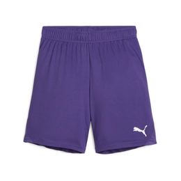 Puma Sporthose "TeamGoal Shorts Jr" in Lila | Gr.: 128