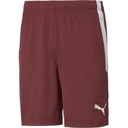 Puma Sporthose "TeamLIGA Shorts" in Rot | Gr.: M