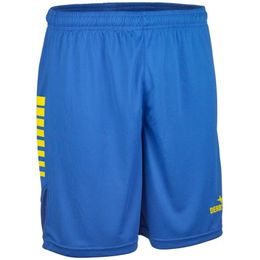 Derbystar Sporthose "Hose Kurz Madrid V25" in Blau | Gr.: S