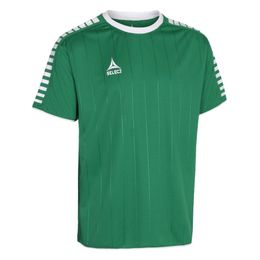 Select Trikot "Argentina Trikot" in Grün | Gr.: XXL