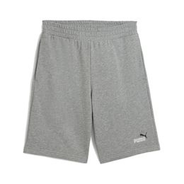 Puma Sporthose "ESS 2 COLOR No.1 Logo Shorts 10" TR" in Grau | Gr.: M